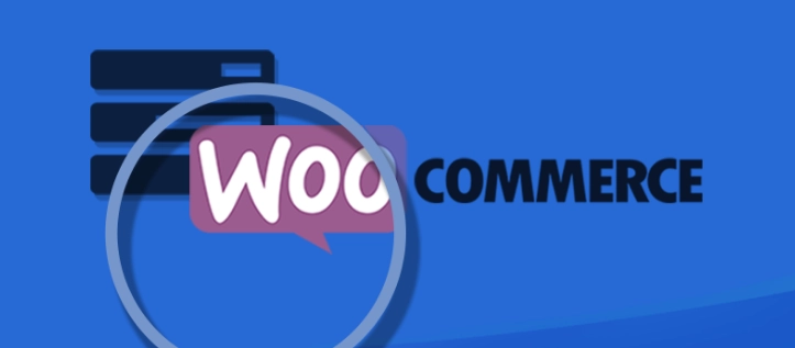 Prevent Direct Access Woocommerce Integration 105 Wp Themes And Plugins